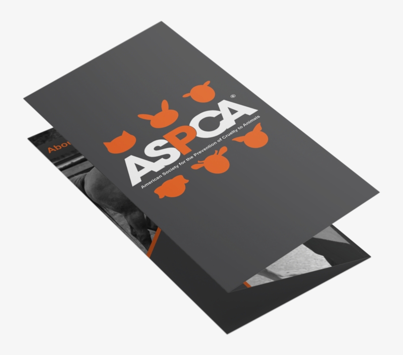 Final Mockup 1 Web Transparent PNG - 1000x833 - Free Download on NicePNG