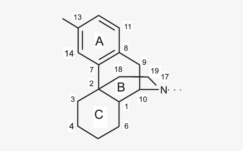 Structure And Numbering System Of Dmp For, C, N And - 3 4 ...