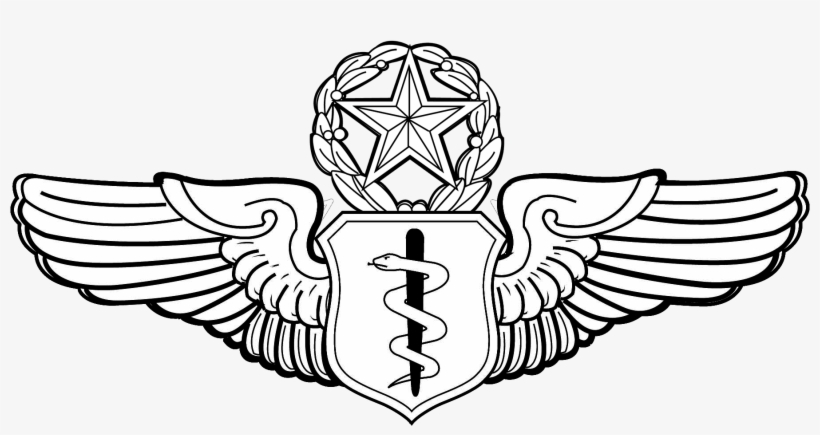 Usaf Command Flight Surgeon Badge-historical - Rpa Sensor Operator ...