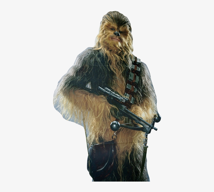 Download A Cardboard Cutout Of Chewbacca That Has Made Appearances ...