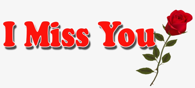 I Miss You Rose Flower | Best Flower Site