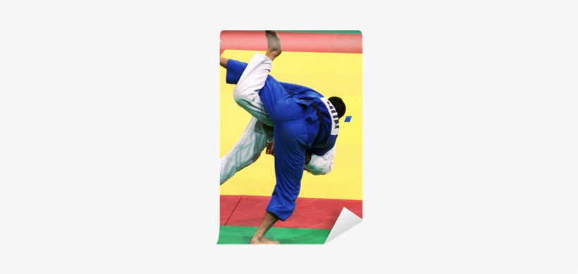 Judo Transparent PNG - 400x400 - Free Download on NicePNG