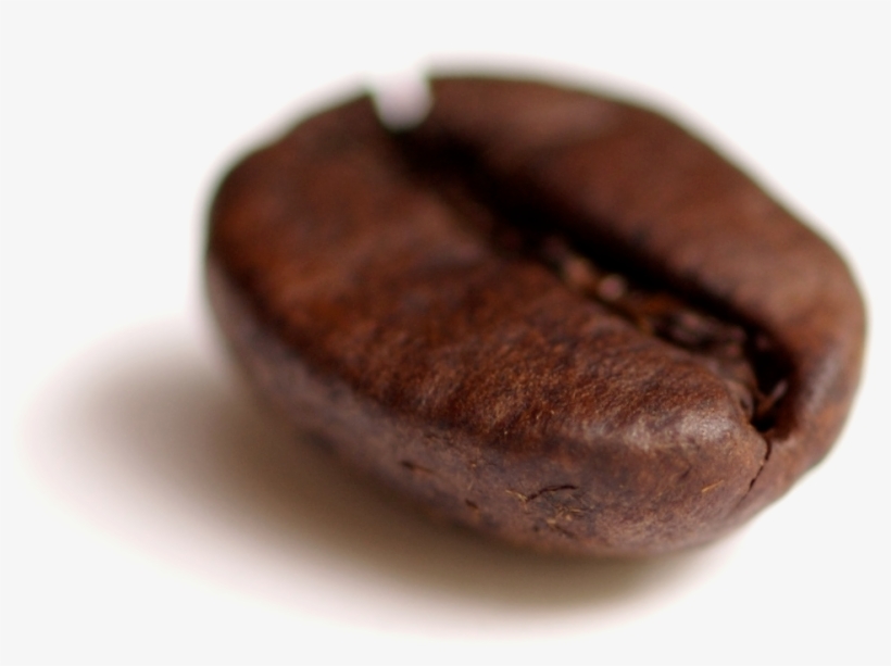 Coffee Bean Transparent - Single Coffee Bean Png Transparent PNG ...