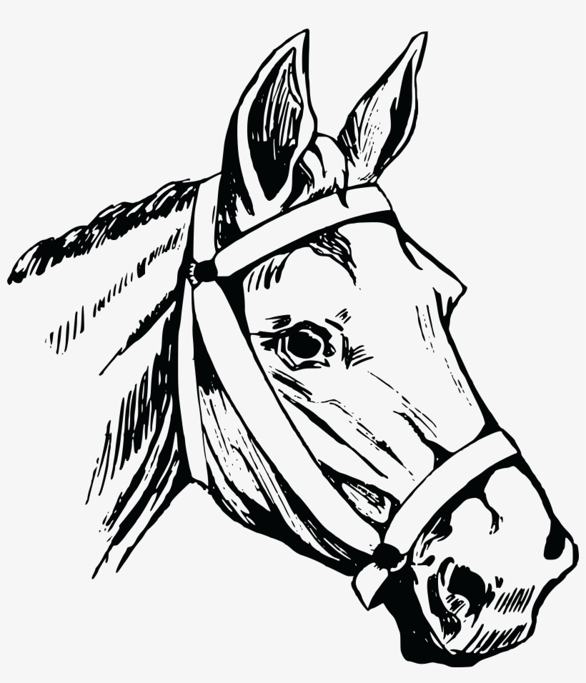 Horse Head Outline Clip Art