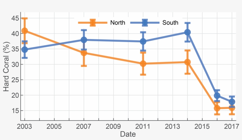 Hard Coral Graph - Coral Transparent PNG - 2705x1448 - Free Download on ...