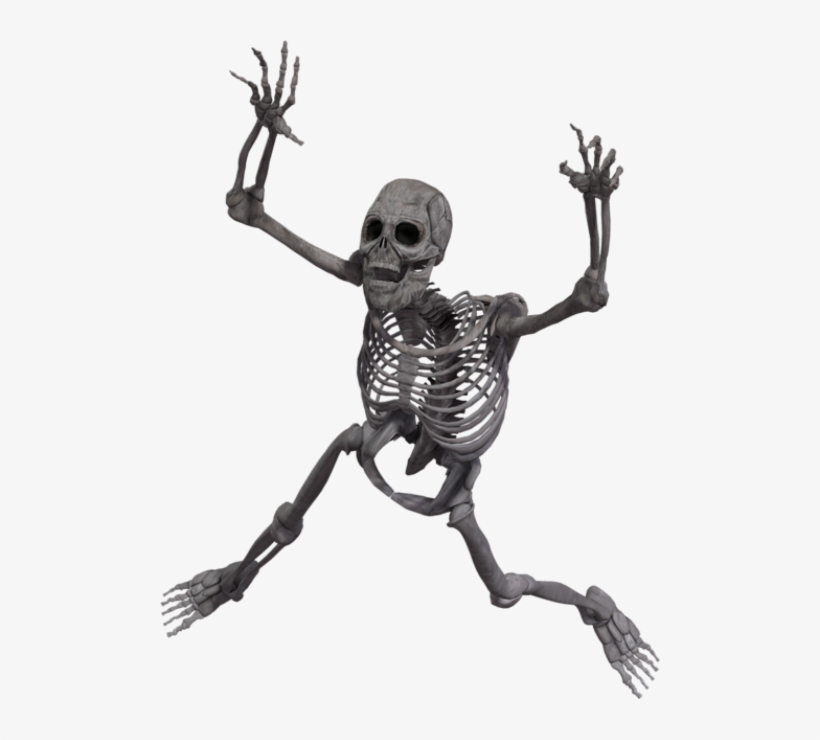 Tube Halloween - Skeleton Transparent PNG - 500x660 - Free Download on ...