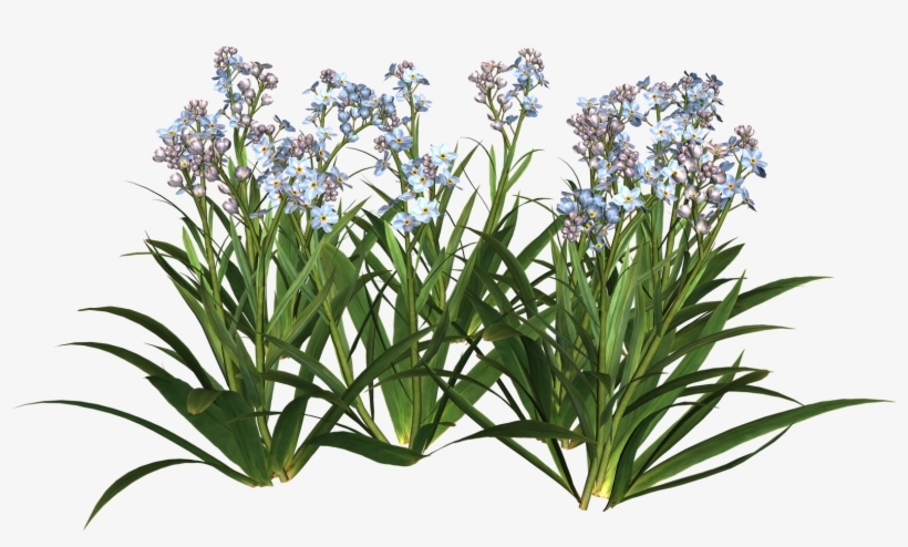 Free High Resolution Graphics And Clip Art - Free Png Clipart ...