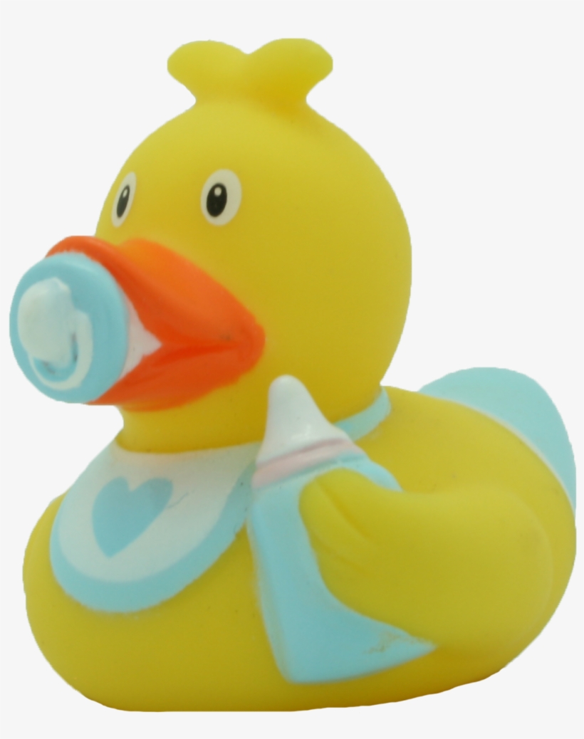 Mini Baby Duck Boy - Duck Transparent PNG - 2592x2592 - Free Download ...