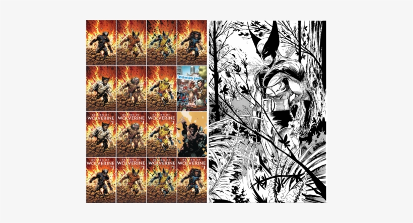 Return Of Wolverine - Return Of The Wolverine Transparent PNG - 480x363 ...