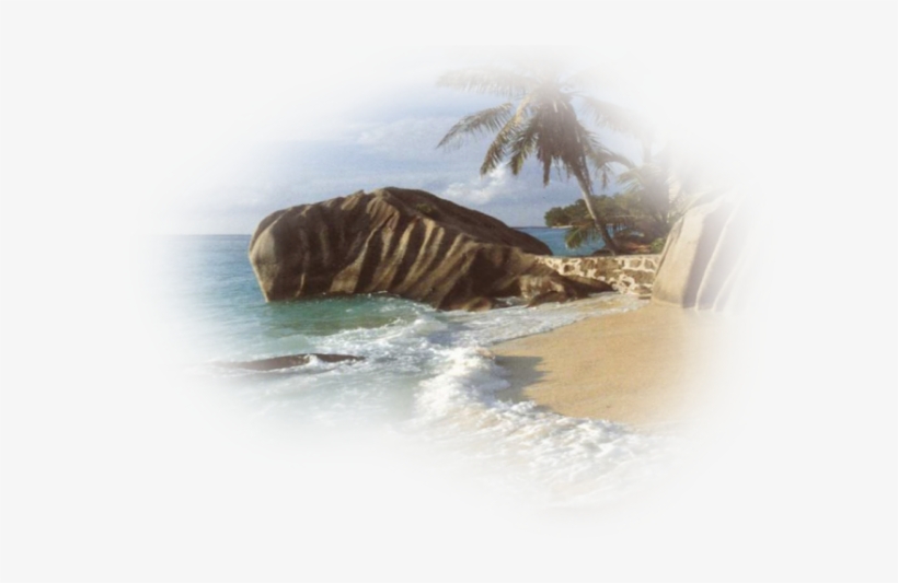 Temptation Island Philippines Remake Transparent PNG - 642x484 - Free ...