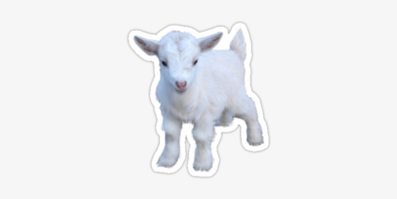 Goat Sticker By Lunarfawn - Goat Transparent Transparent PNG - 375x360 ...
