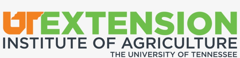University Of Tennessee Extension Transparent PNG - 2345x657 - Free ...