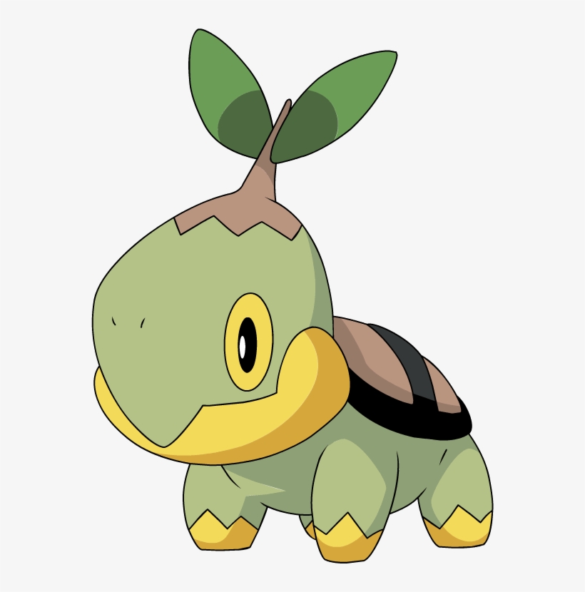 Turtwig