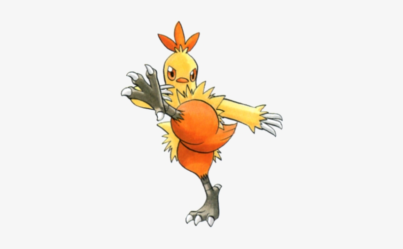Chic Combusken - Combusken Png Transparent PNG - 336x426 - Free ...
