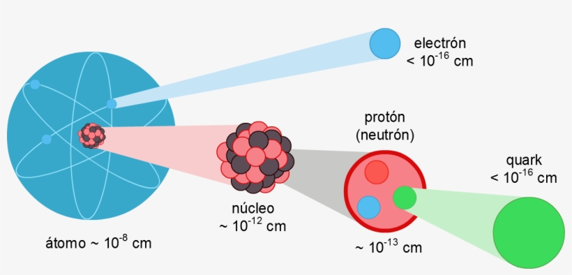 Los Quarks - Quarks Protones Neutrones Y Los Leptones Transparent PNG ...