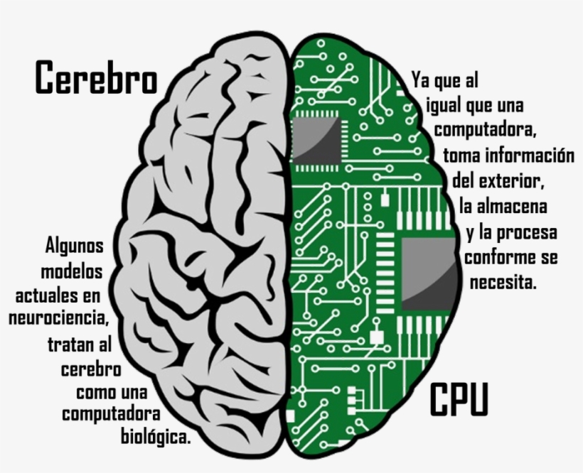 Brain Computer Transparent PNG - 1200x847 - Free Download on NicePNG
