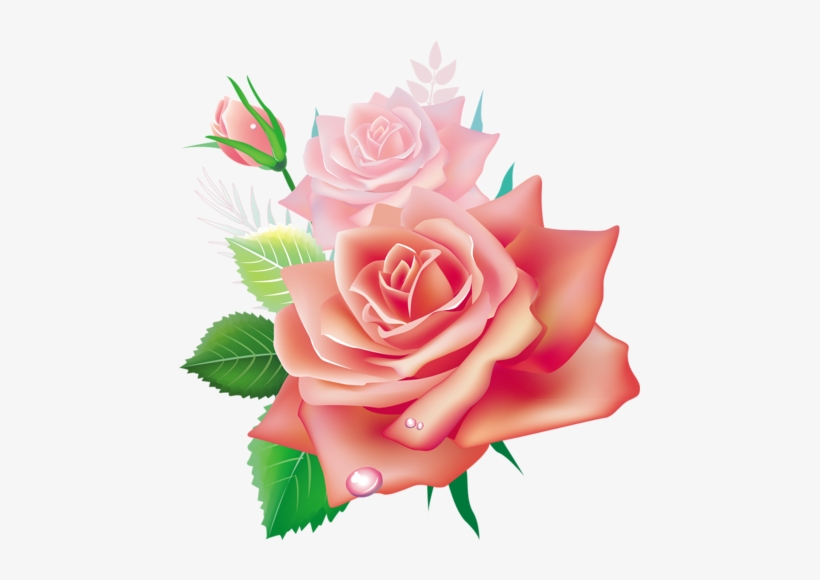 Pink Tea Rose Clipart With Transparent