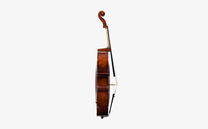 Cello Side Transparent PNG - 310x445 - Free Download on NicePNG