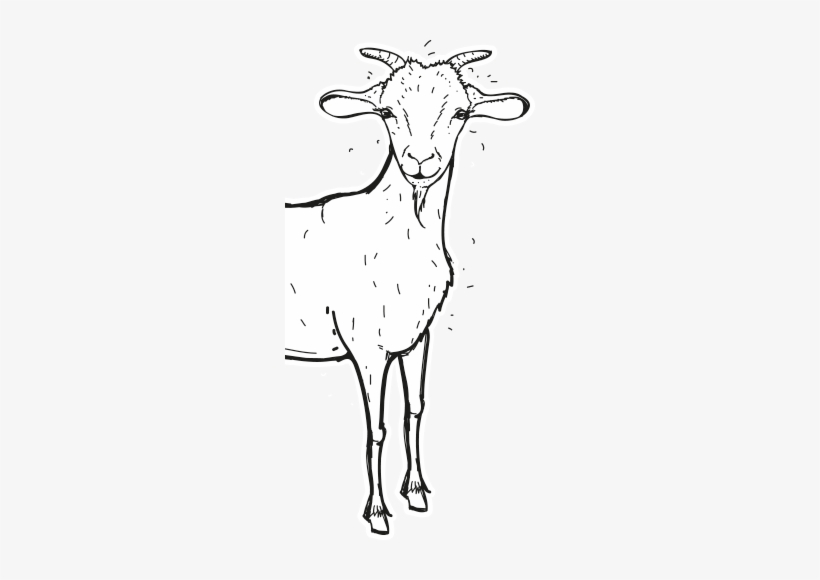 Goat Milk - Illustration Transparent PNG - 250x500 - Free Download on ...