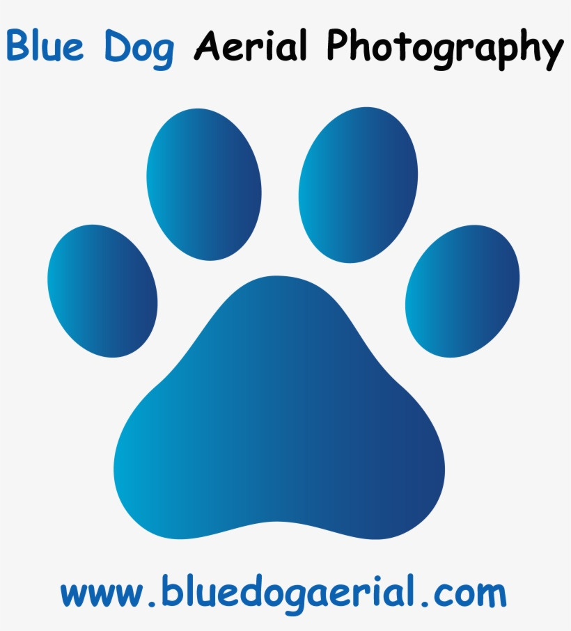 Dog Paw Print In Blue Transparent PNG - 4500x4500 - Free Download on ...