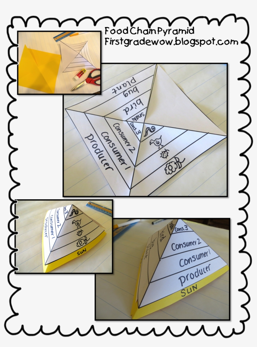 Food Chain Picture Pyramid 1,205×1,600 Pixels - Food Chain Foldable ...