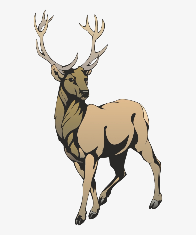 Stag - Stag Images Clip Art Transparent PNG - 538x900 - Free Download ...