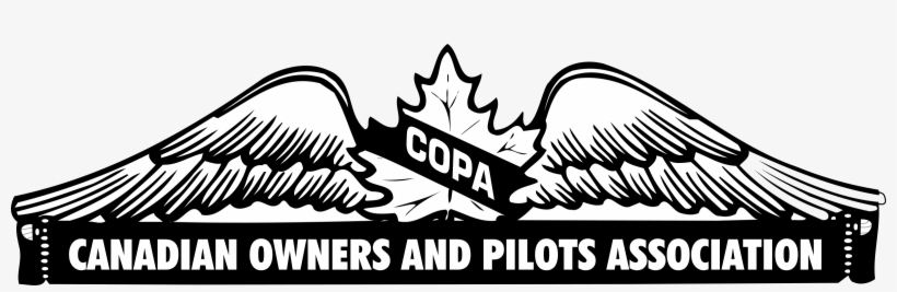 Copa Logo Png Transparent - Copa América Transparent PNG - 2400x665 ...