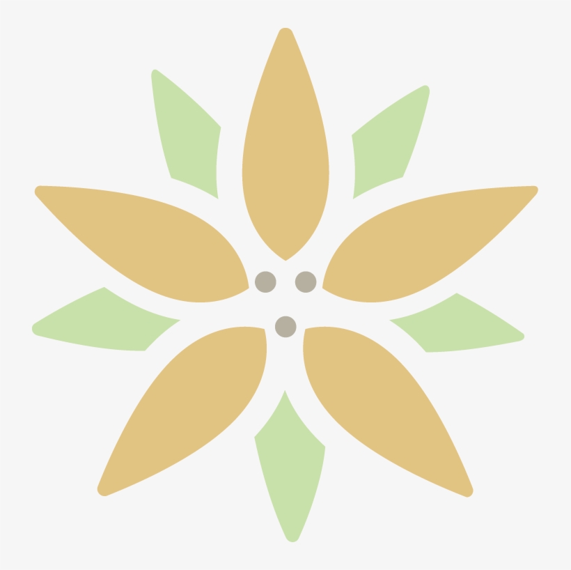 Download Msc Logo Simple - HD Transparent PNG - NicePNG.com