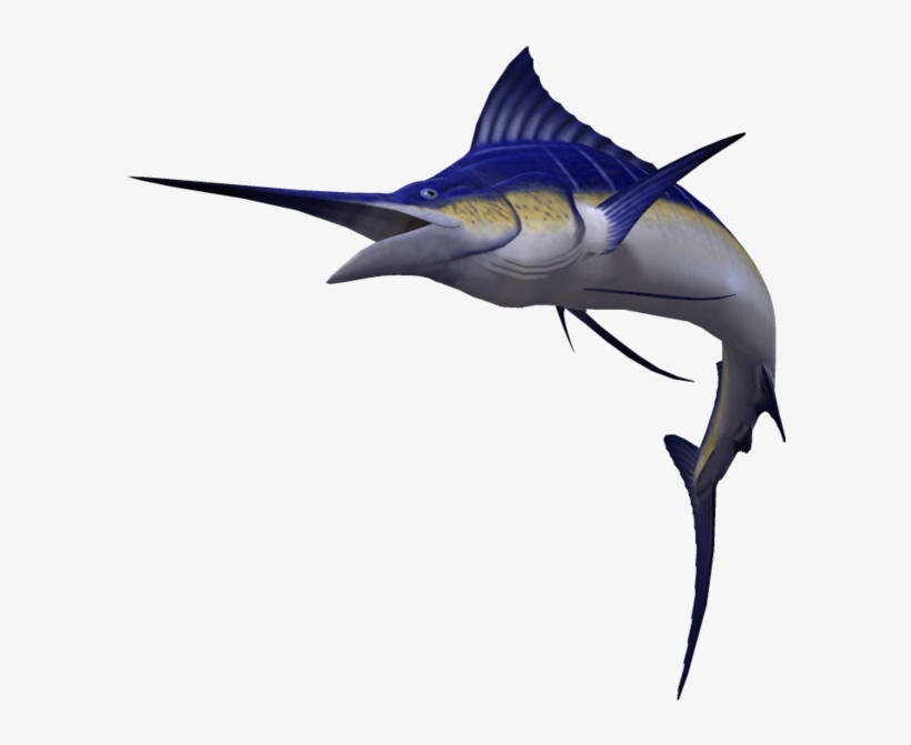 Marlin Png Transparent PNG - 1024x639 - Free Download on NicePNG