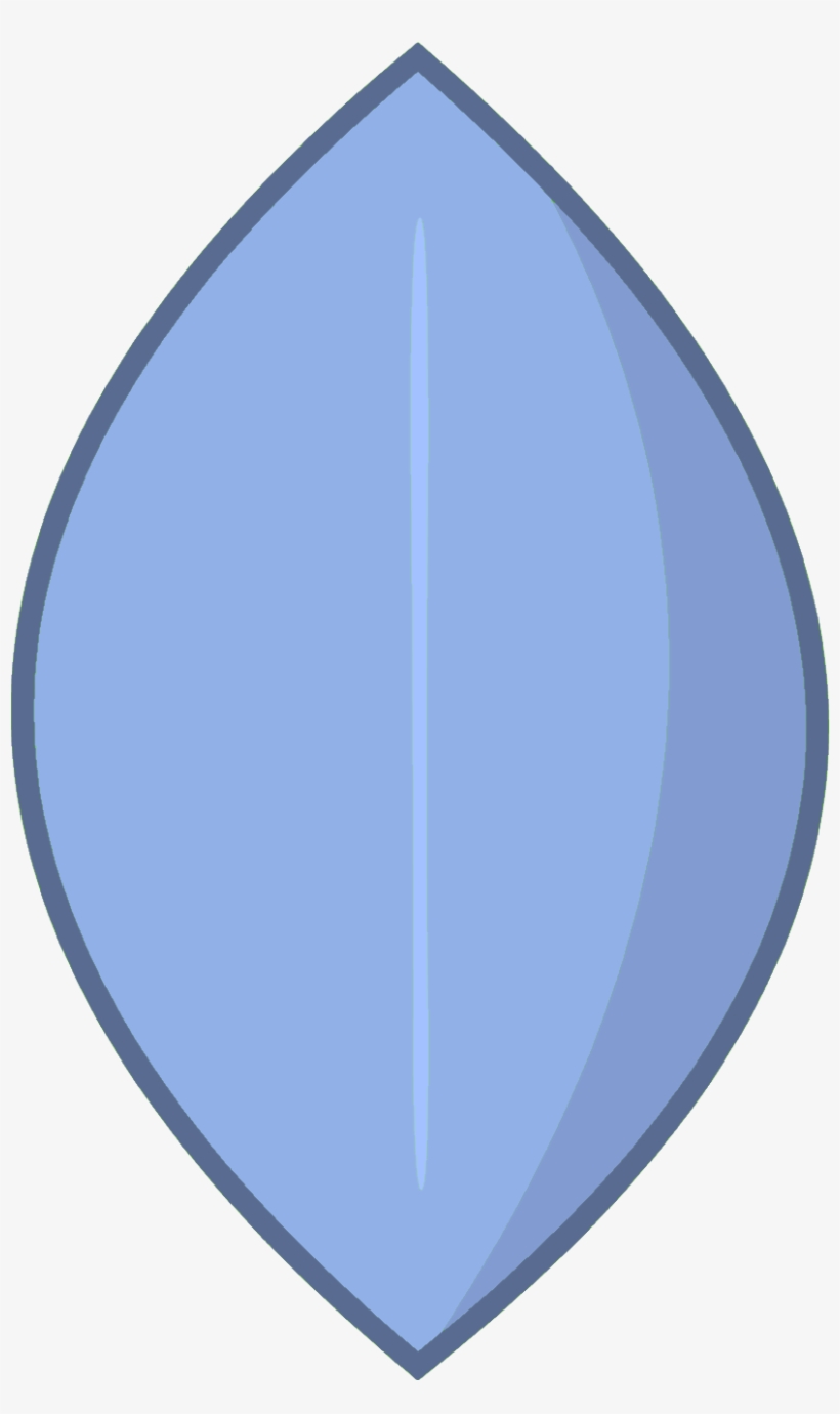 Acai Leafy - Bfdi Acai Transparent PNG - 1000x1351 - Free Download on ...