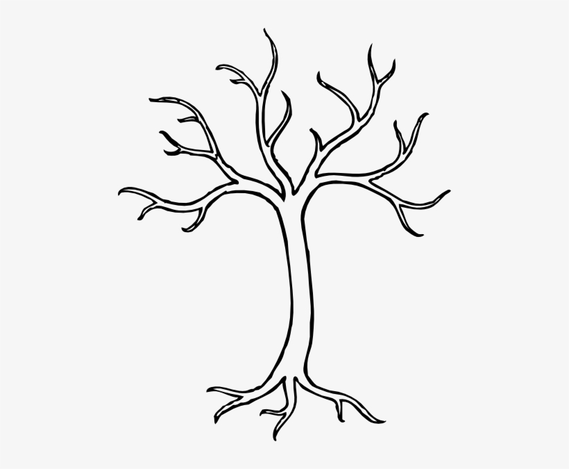 How To Draw A Tree Without Leaves