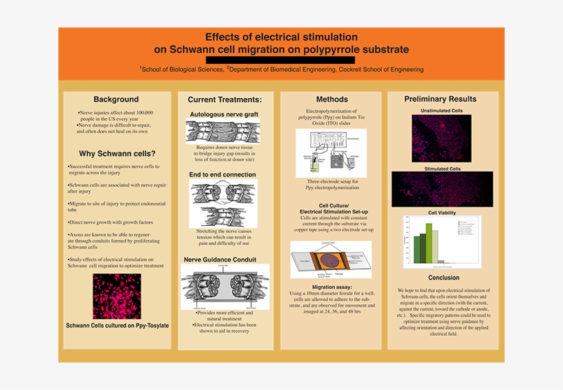 Download Poster Sample - Samples Of Posters - HD Transparent PNG ...