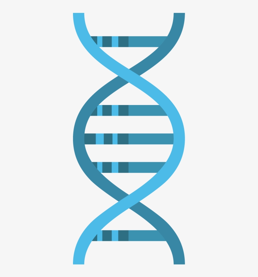 Genome Sequencing - Next Generation Sequencing Icon Transparent PNG ...