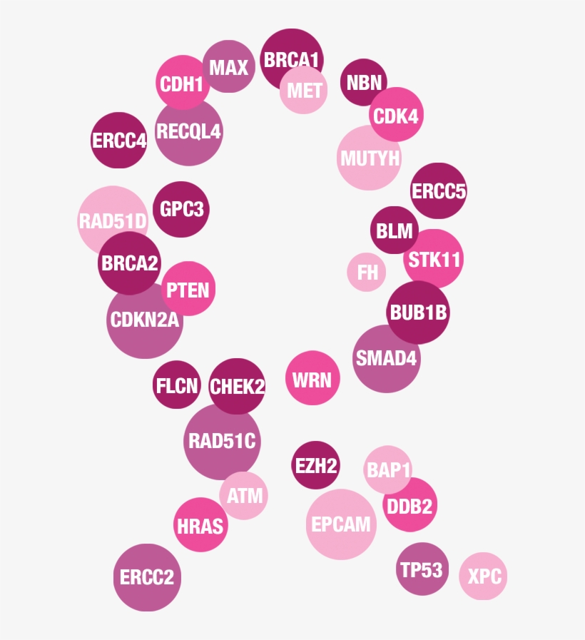 Breast Cancer Genetic Testing, Genes, Genetic Testing, - Cancer Genetic ...