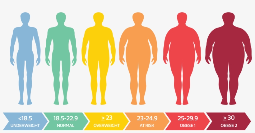 The World Health Organization Consultation On Obesity - Underweight ...