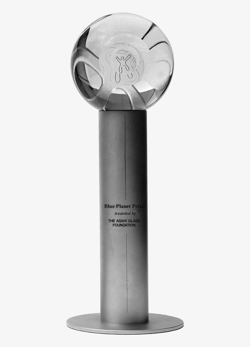 Trophy Transparent PNG - 400x1075 - Free Download on NicePNG