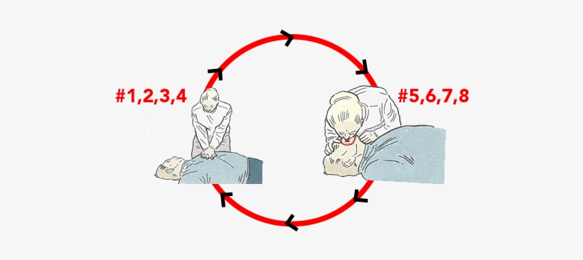 If You Are Untrained Or Unsure Of Your Skills Don't - Training ...