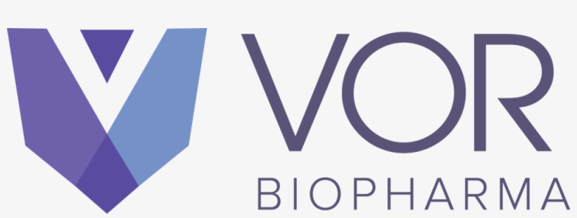 Vor - Portable Network Graphics Transparent PNG - 1000x330 - Free ...