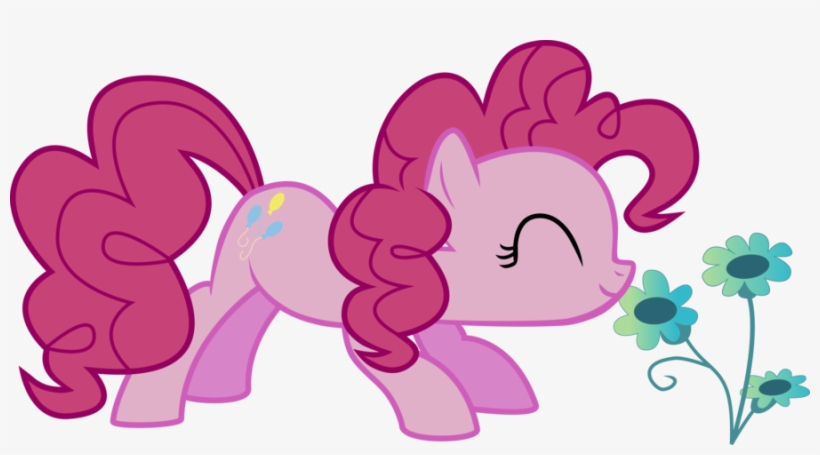 Pinkie Pie Flower Smell - My Little Pony Smelling Transparent PNG ...
