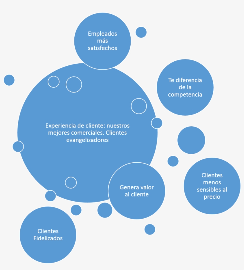 Experiencia-cliente - Beneficios De Satisfacer Al Cliente Transparent ...