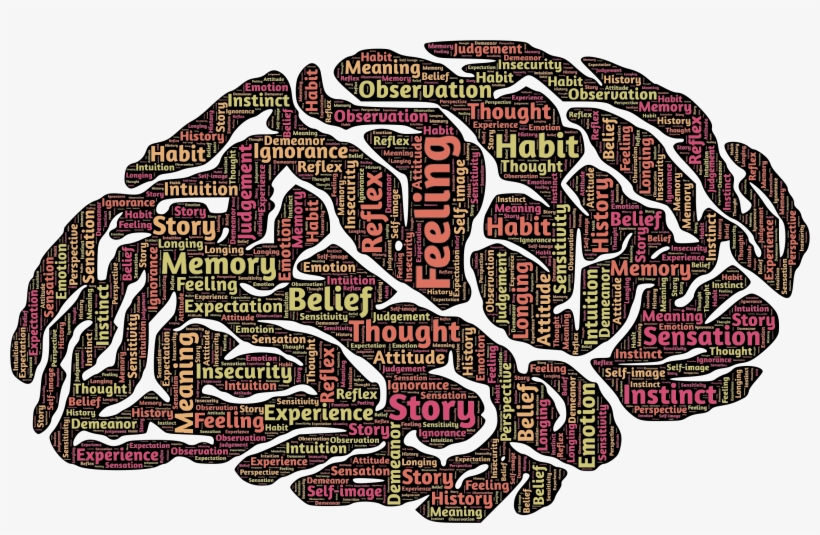 Big Image - Dbt Therapy: Your Guide To Happiness Transparent PNG ...