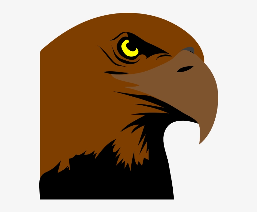 How To Set Use Hawk Head Logo Clipart Transparent PNG - 600x597 - Free ...