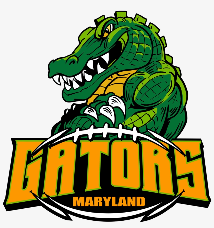 Baltimore Gators - Logo Gators Football Transparent PNG - 1000x1066 ...