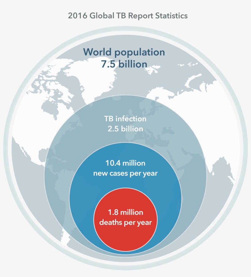 Global Tuberculosis Statistics - World Map Transparent PNG - 3044x3215 ...
