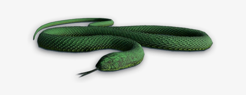 Snake - Smooth Greensnake Transparent PNG - 638x238 - Free Download on ...