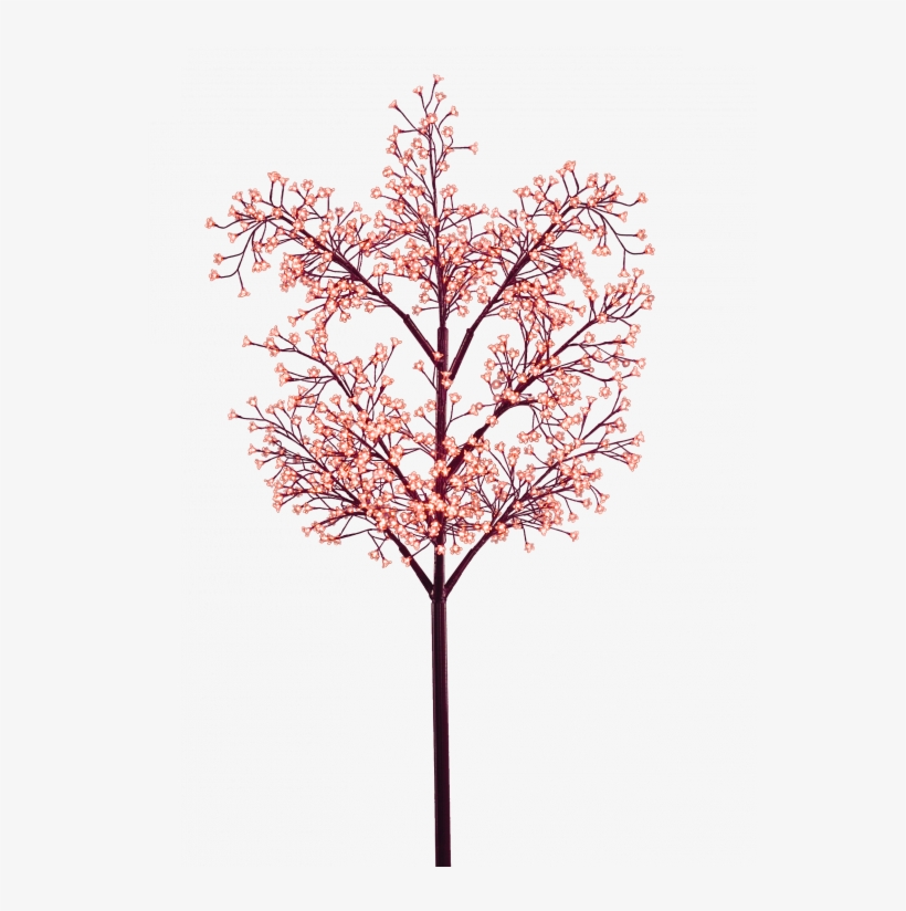 Pink Tree Png - Tree Transparent PNG - 551x744 - Free Download on NicePNG