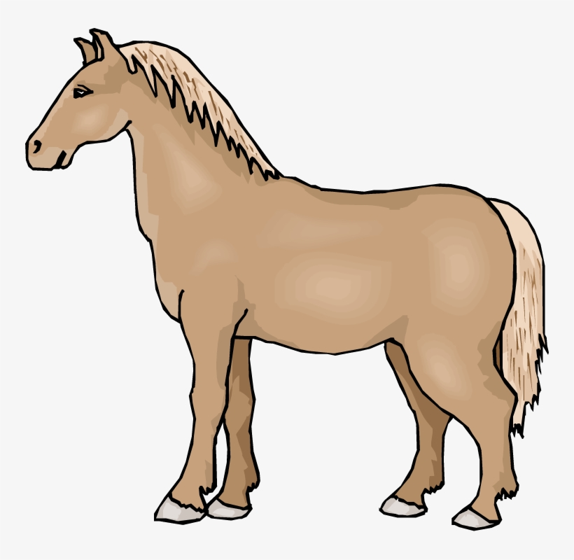 Hourse - Horse Transparent PNG - 750x720 - Free Download on NicePNG