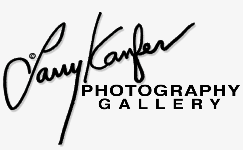 Larry Kanfer Photography Gallery - Png Logo Photography Hd White ...