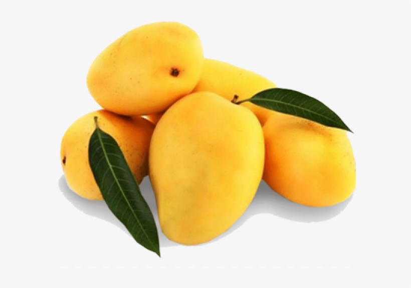 Buy Fresh Mango Gurgaon - Mango Pakistani Transparent PNG - 600x723 ...