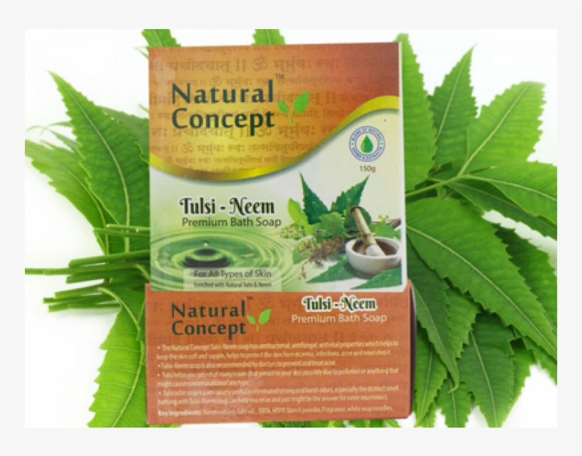 Tulsi And Neem Soap - Botanical Name Of Neem Transparent PNG - 750x750 ...